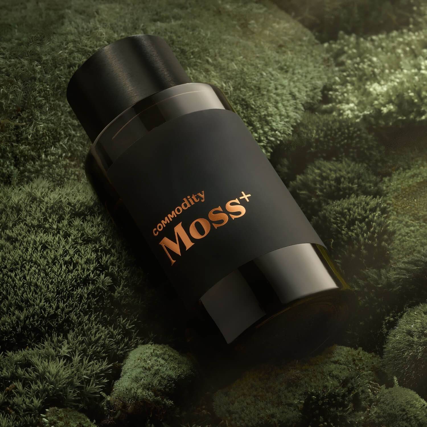 COMMODITY Moss+ Bold for $16.95 per month | Scentbird