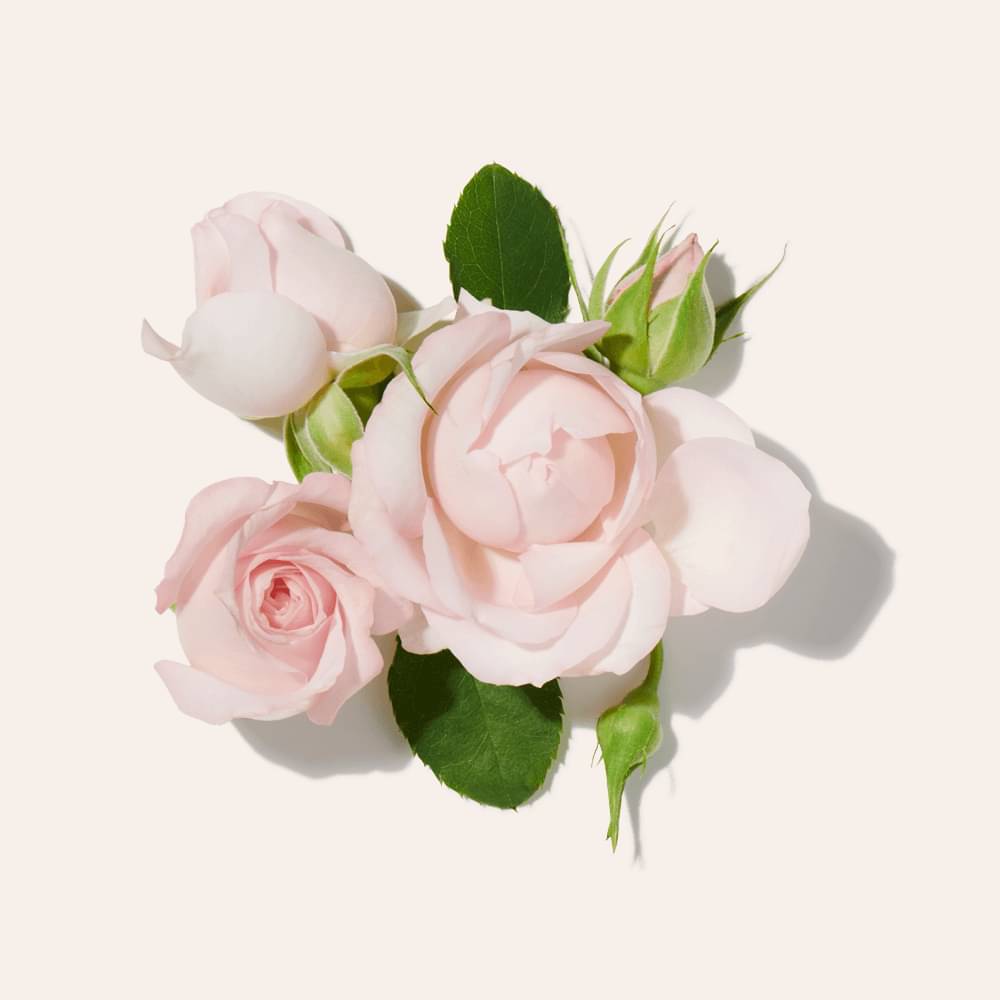 Scentbird Monthly Perfume Subscription Box: Designer Scents $16.95