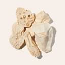 New in Fine Fragrances
