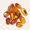 New in Fine Fragrances