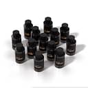 Scentbird | Commodity | Paper+ Bold