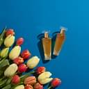 Buy HOPE FRAGRANCES Night at Scentbird for $16.95