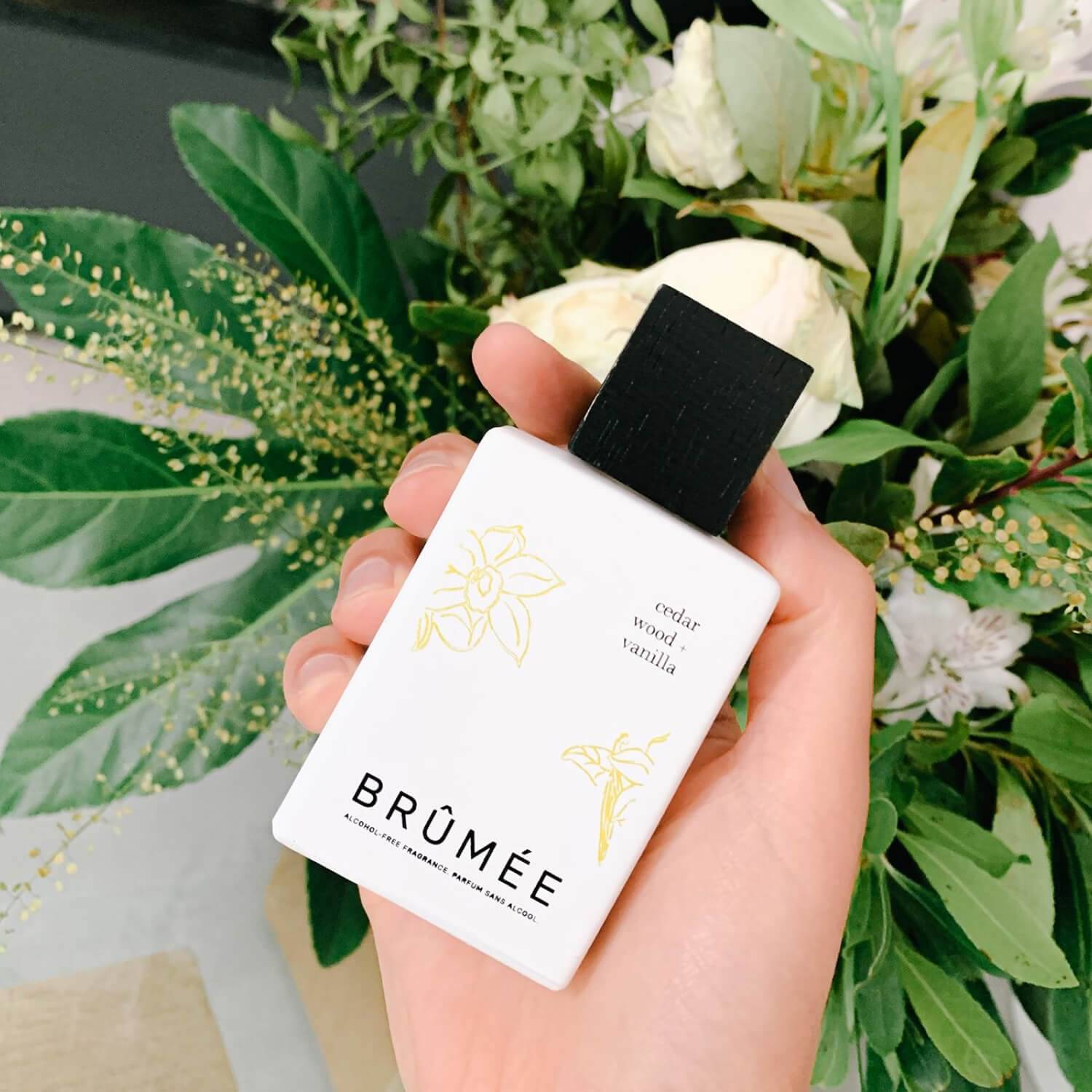 Brûmée Cedar Wood + Vanilla for $4.95 | Scentbird