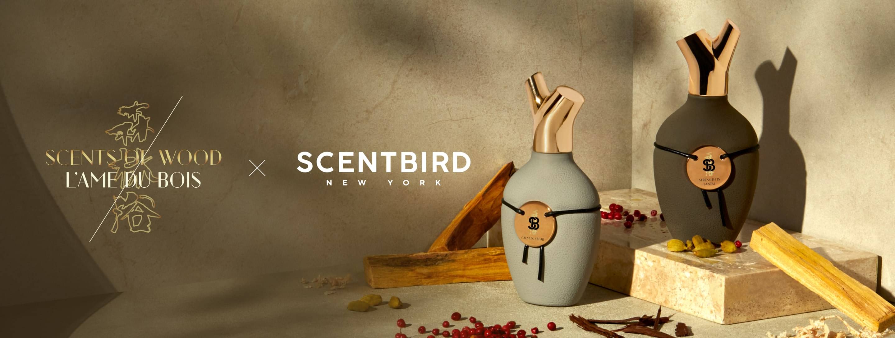 Perfume & Cologne Subscription Box from $8.97 | Scentbird