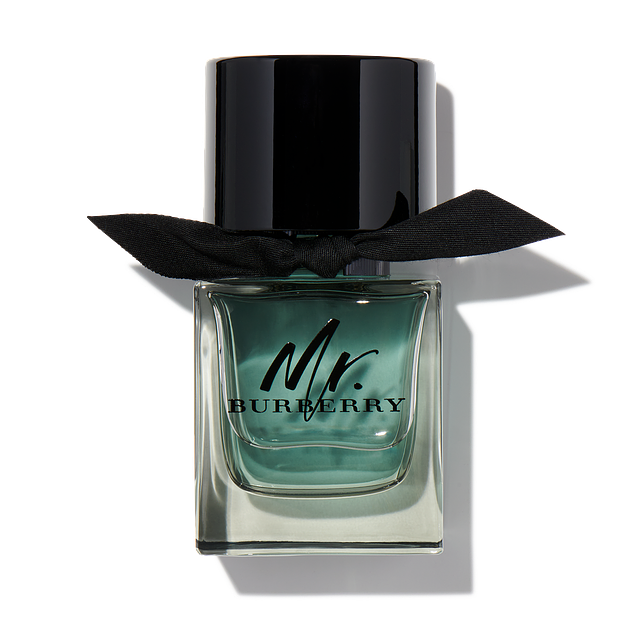 Mr. Burberry by Burberry $16.95/month | Scentbird